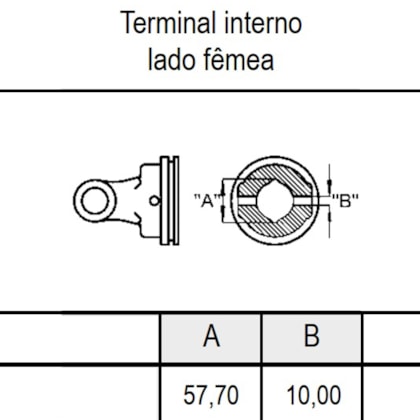 Terminal Interno Fêmea Oval Serie W4000 Aemco CW421 - Loja Novo Campo